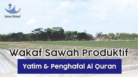 Wakaf Sawah Produktif Untuk Yatim & Penghafal Al Quran