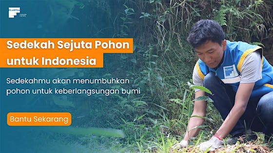 Sedekah Rutin Wujudkan 1000 Pohon di Indonesia
