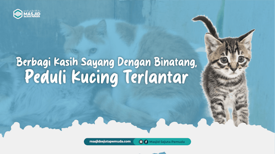 Peduli Kucing Terlantar